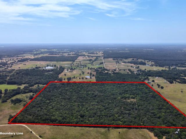 41514 Athens, TX 75751 | MLS #25009 | Compass