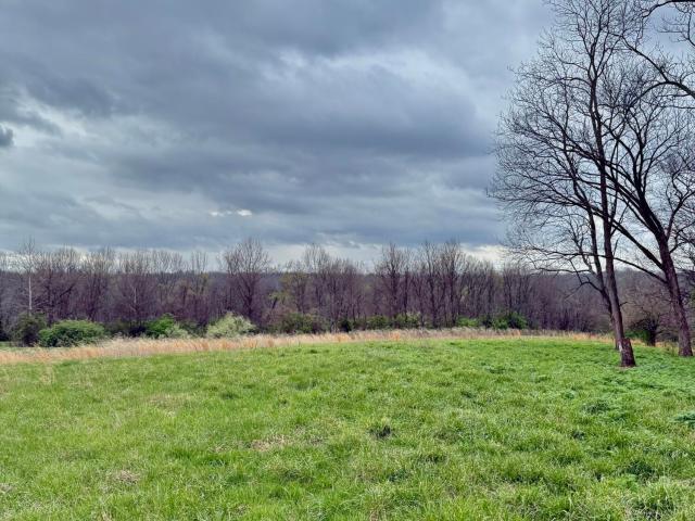 4151 Akin Lane