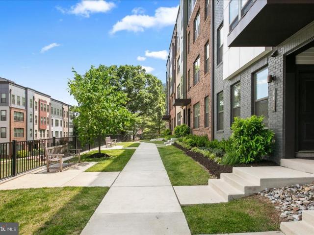 4153 Red Mulberry Drive # 20