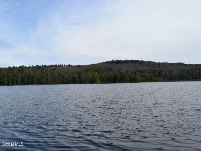 415 Collins Gifford Valley Rd, Northville, NY 12134 | MLS #202513