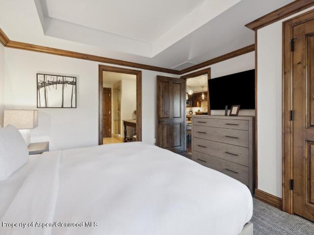 415 E Dean St Unit 16 Weeks 51/52, Aspen, CO 81611 | MLS #186382