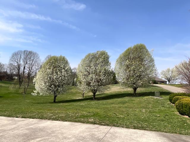 415 Splendor View Drive