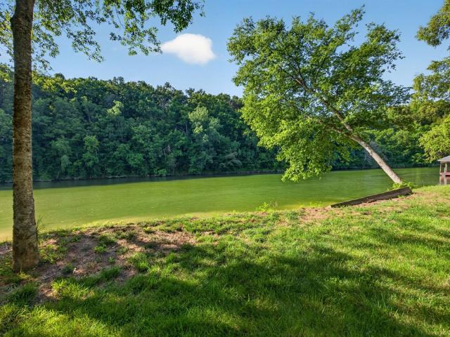 415 River Oaks Dr