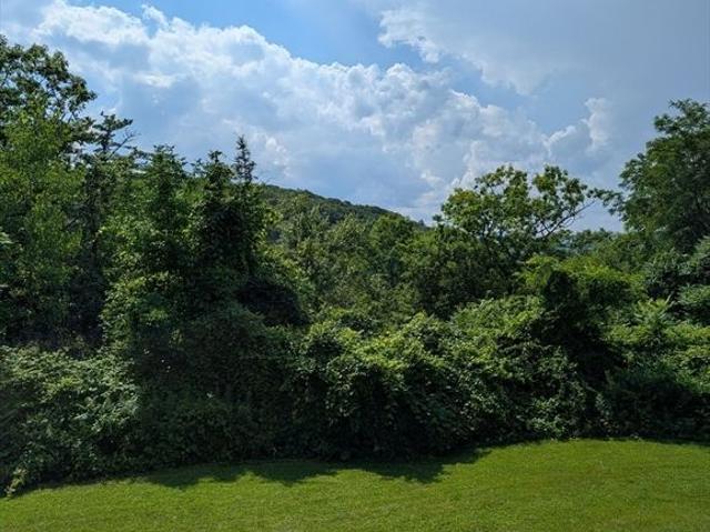 415 Richview Ave Unit 2, North Adams, US, MA