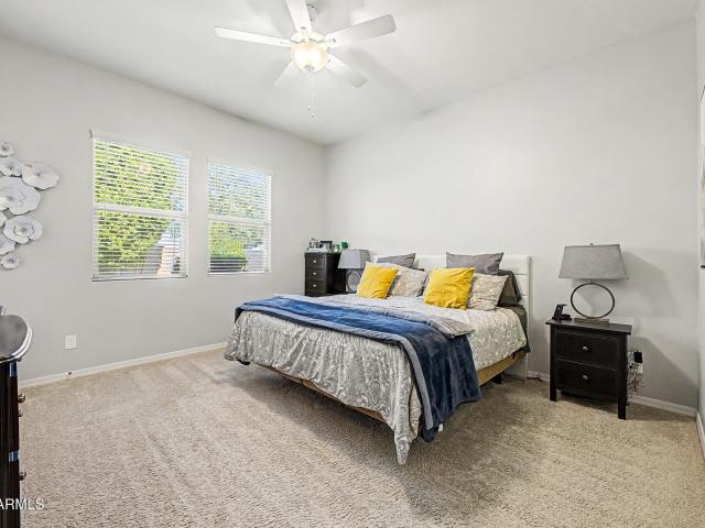 41660 n kamala tree street