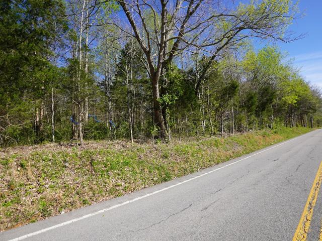4167 Hwy 49