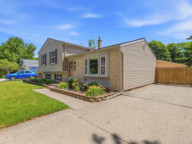 41688 Tetley Dr Drive