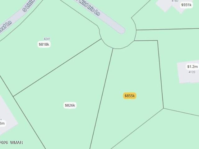4161 Wild Iris Lane