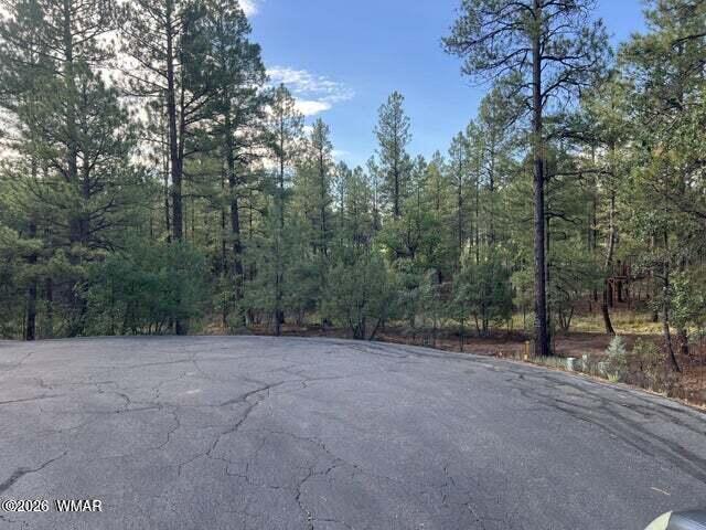 4161 Wild Iris Lane