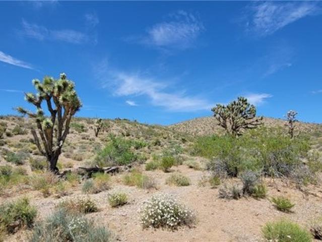 416 Oro Dr, White Hills, AZ 86445