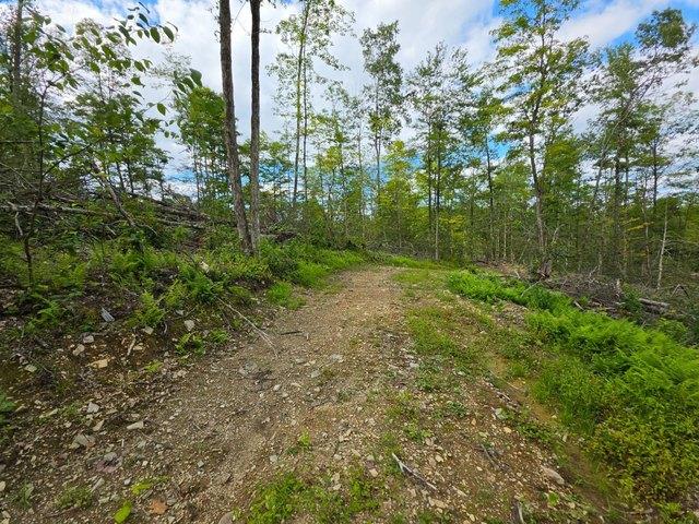416 Ouaquaga Rd, Windsor, NY 13865