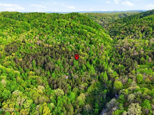 416 Satterfield Rd, Luttrell, TN 37779