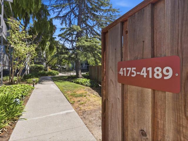 4175 George Avenue 4