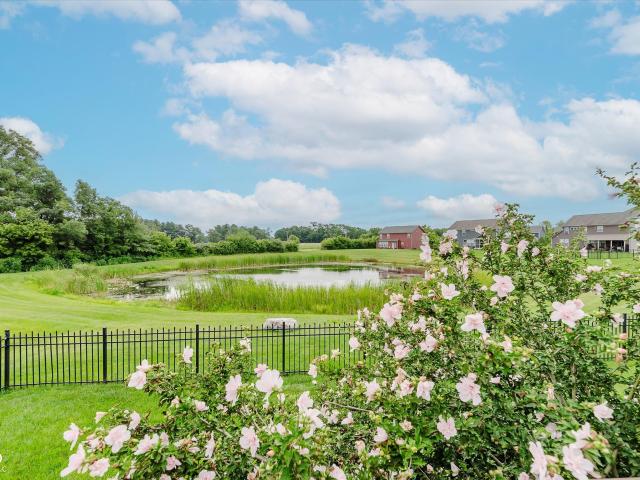 4173 Ginkgo Court