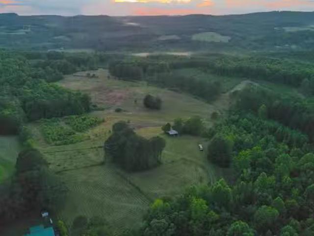 417 COUNTY ROAD 582, COLLINSVILLE, AL 35961
