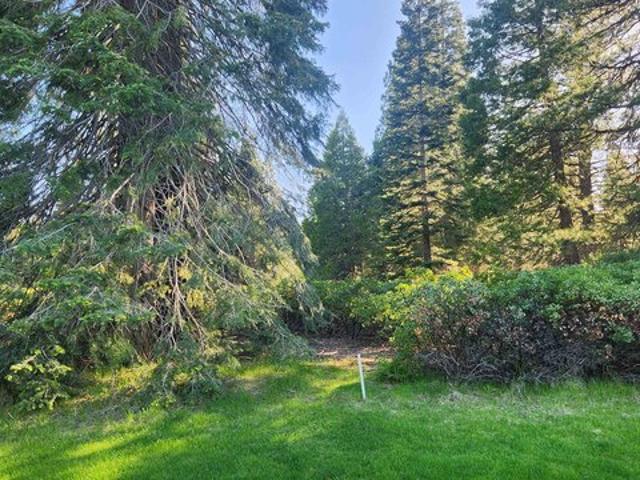 417 Dinsmore Dr Lot 361, Lake Almanor, CA 96137