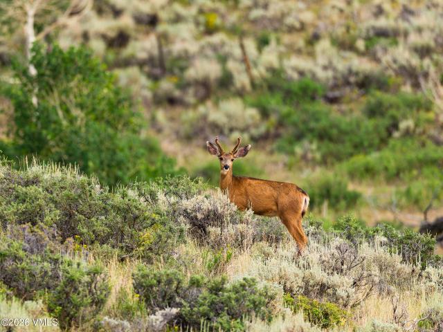 417 Kicking Horse Trail, Edwards, CO 81632 | MLS #1010