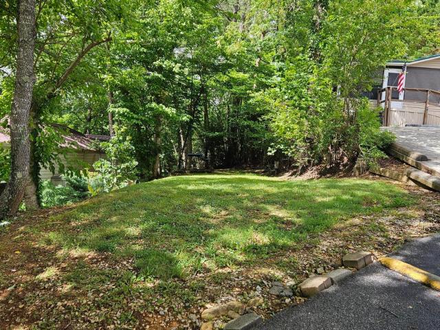 417 Mountain Thrush Drive