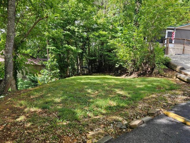 417 Mountain Thrush Drive