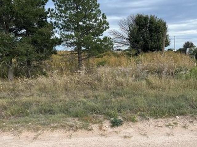 417 Sage Mesa Dr, Fritch, TX 79036