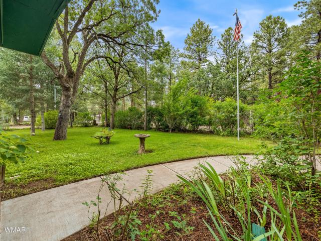 417 Springtime Drive