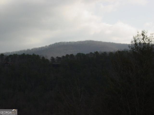 4184 Ridgecrest Trl, Hiawassee, GA