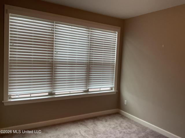 4186 Carolyn Mitchell Drive