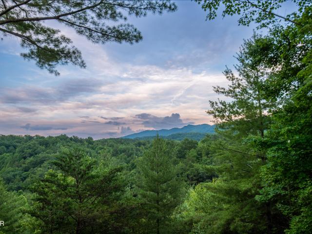 4186 Evans Chapel Road