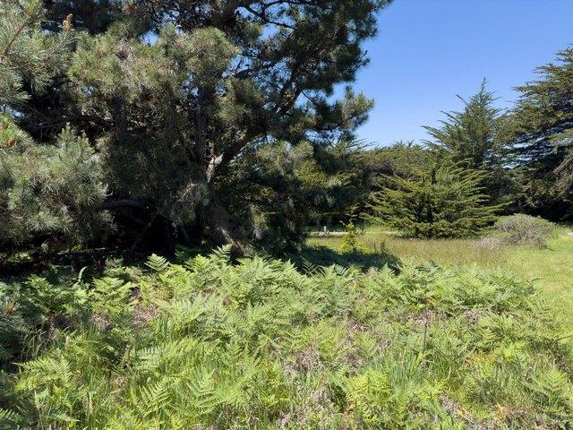 41889 Leeward Rd, The Sea Ranch, CA 95497