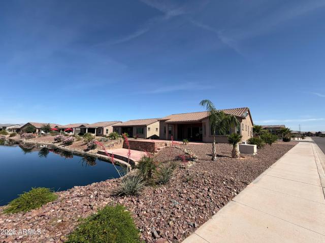 41801 w cactus flower