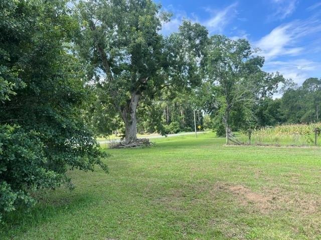 4180 McConnell Bridge Rd, Adel, GA 31620
