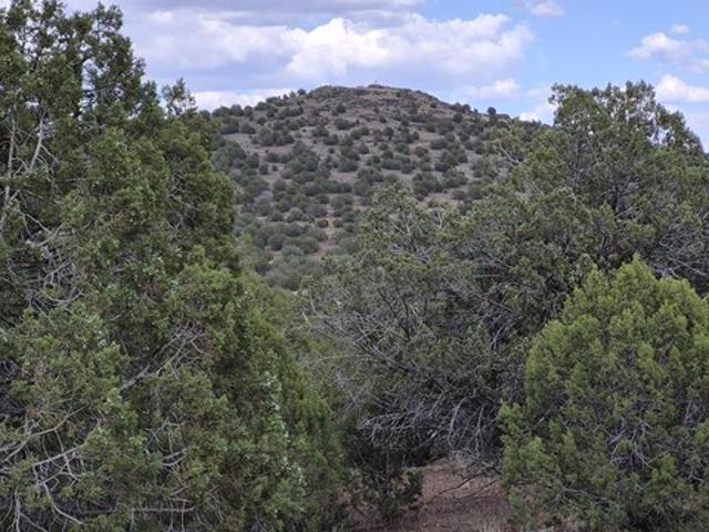 4180 N Muriel Dr, Williams, AZ 86046