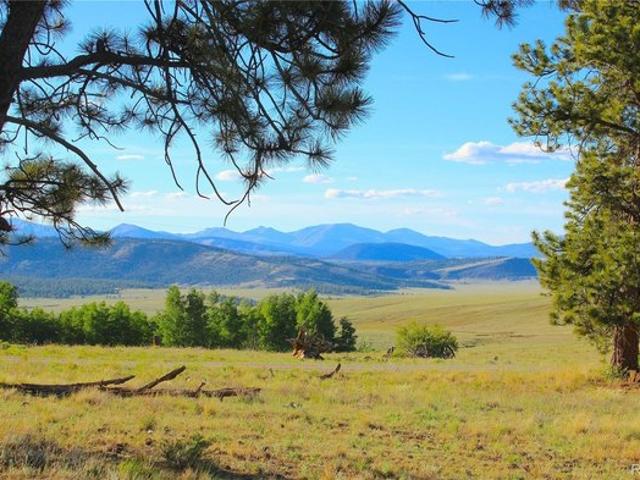 4180 Singletree Rd Lot 734, Hartsel, CO 80449