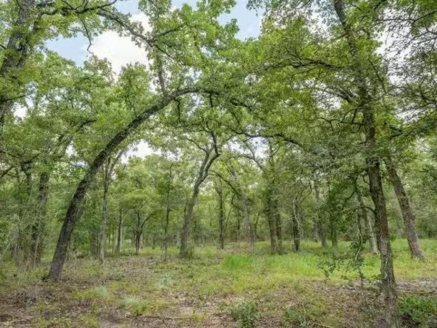 418 C County Road 405, Buckholts, TX 76518 MLS 519630