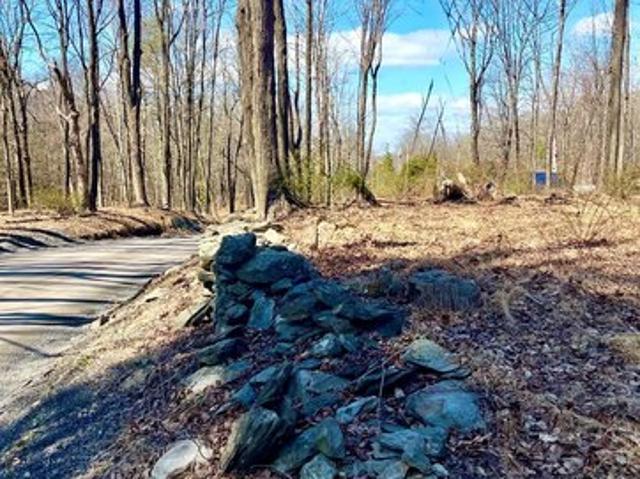 418 Browns Pond Rd, Staatsburg, NY 12580