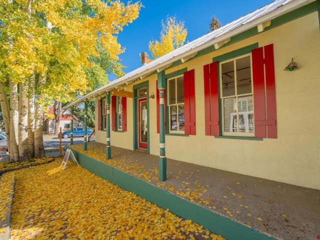 418 Elk Ave, Crested Butte, CO 81224 | MLS #824793