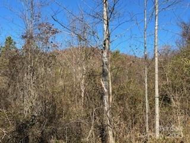 418 Owl Hollow Rd, Marion, NC 28752 | MLS #4322