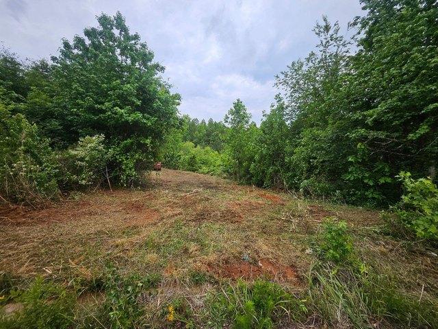 418 N Walcher Farm Dr, Inman, SC 29349