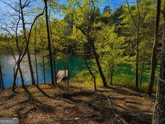418 Sue Craig Rd, Six Mile, SC 29682