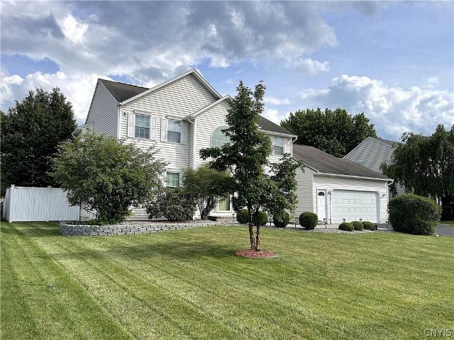 4194 Chokecherry