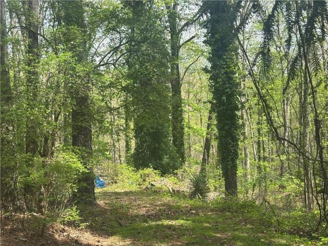 4194 Yancey Rd, Douglasville, GA 30135 | MLS #7747 | Compass