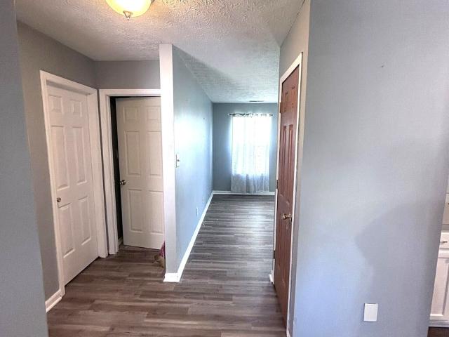 4195 Knollwood Court