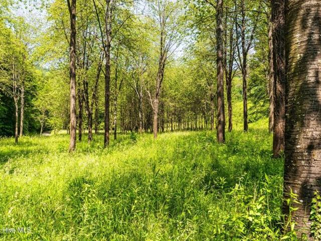 4197 Adams Chapel Rd, Dearing, GA 30808