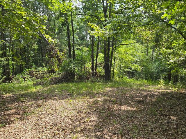4190 Tuscumbia Road