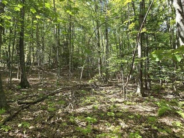 419 24 Meeting House Rd, Gilmanton, NH 03237
