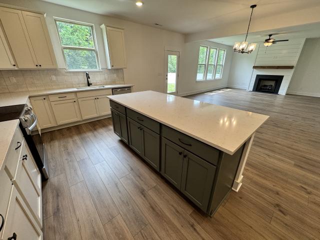 419 Old Spring Lane