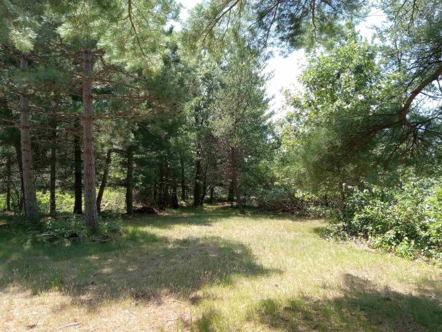 419 Sir Winston Trail