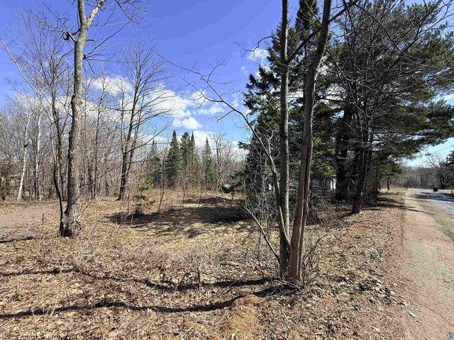 419 W Quince St, Duluth, MN 55811