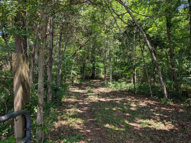 41.15 acres State Highway 506