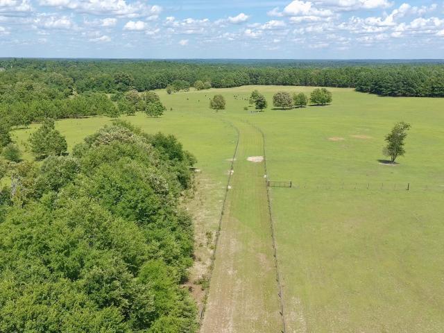 41 Acres Whiskey Road